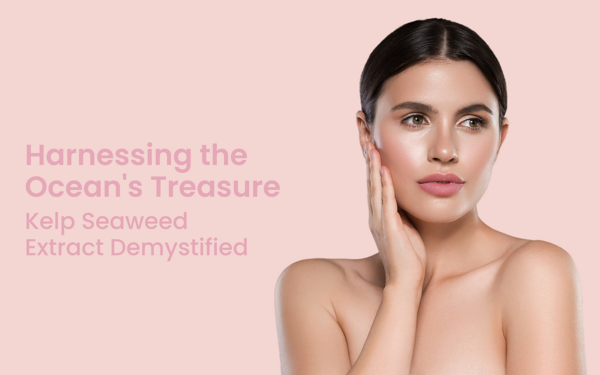 Unveiling the Secret of Kelp Seaweed Extract | Benefits & Uses